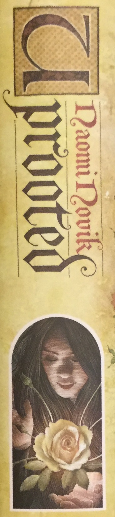 Learning from Using a Strong Female Lead in ‘Uprooted’ – Julia Satu